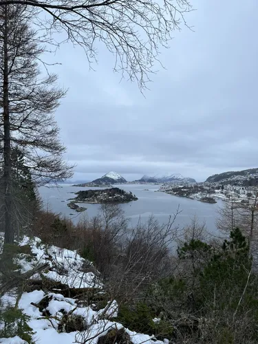 10 Best Trails and Hikes in Ålesund | AllTrails