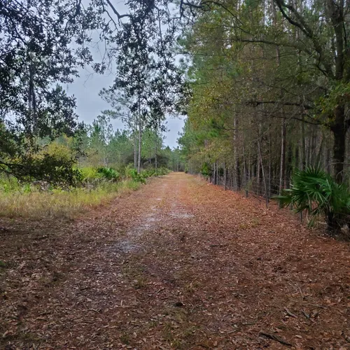 Best Hikes and Trails in Branan Field Wildlife and Environmental Area ...