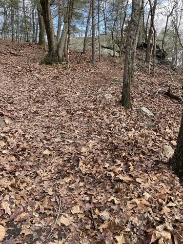 Best Hikes and Trails in Whipple Hill Conservation Lands | AllTrails