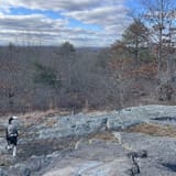 Whipple Hill and Locke Farm, Massachusetts - 779 Reviews, Map | AllTrails