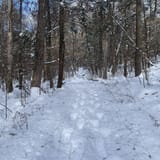 Mount Tremper Trail, New York - 1,493 Reviews, Map | AllTrails