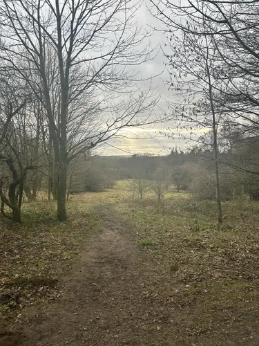 Best Hikes and Trails in Bolam Lake Country Park | AllTrails