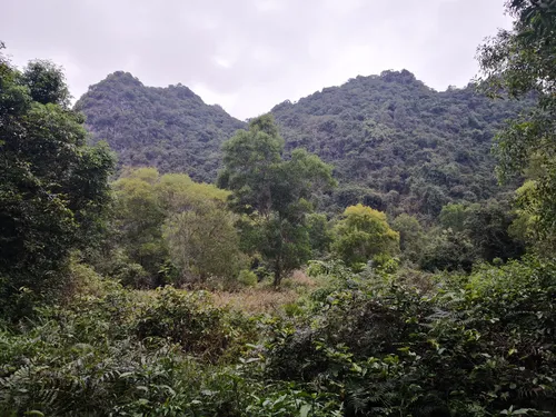 Best 10 Hiking Trails in Cat Ba National Park | AllTrails