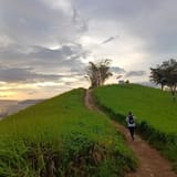 Bukit Botak Trail, Sabah, Malaysia - 290 Reviews, Map | AllTrails