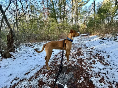 Best Hikes and Trails in Hedges Pond Recreation Area | AllTrails