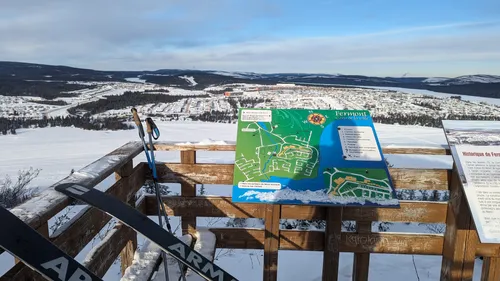 Best Forest Trails in Fermont | AllTrails