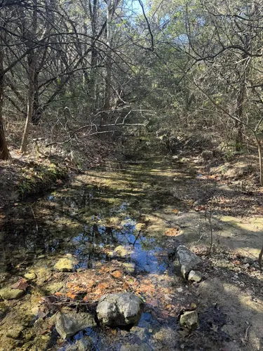 Best 10 Hiking Trails in Wild Basin Wilderness Park | AllTrails