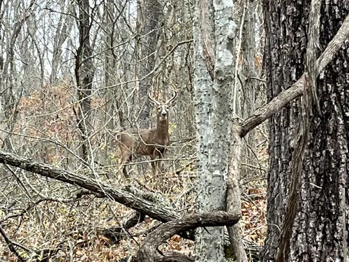 Best Hikes and Trails in John Spalding Recreation Area | AllTrails