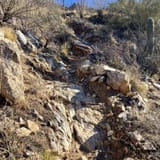 Pontatoc Ridge Trail, Arizona - 1,609 Reviews, Map | AllTrails