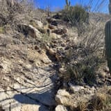 Pontatoc Ridge Trail, Arizona - 1,609 Reviews, Map | AllTrails
