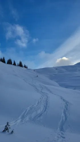 Best Hikes and Trails in Callaghan Lake Provincial Park | AllTrails