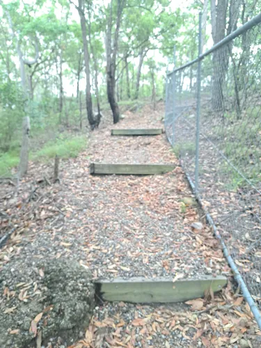 Best Hikes and Trails in Haig Street Quarry Bushland Reserve | AllTrails