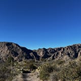 Basin Loop Trail, Texas - 994 Reviews, Map | AllTrails