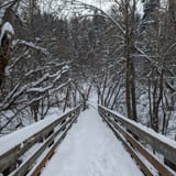 Mueller Park Trail, Utah - 741 Reviews, Map | AllTrails