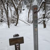 Mueller Park Trail, Utah - 741 Reviews, Map | AllTrails