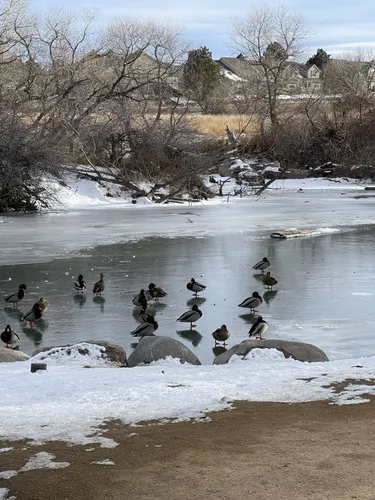 Best Hikes and Trails in Historic Cheese Ranch Park | AllTrails