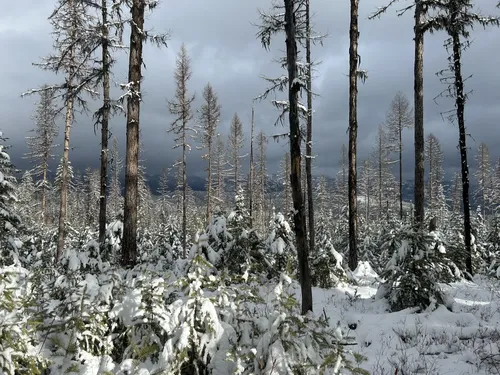 Best Hikes and Trails in Stillwater State Forest | AllTrails