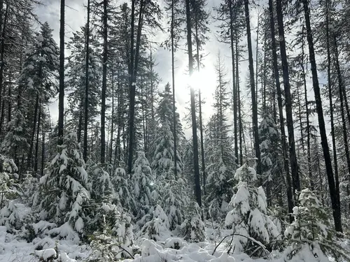 Best Hikes and Trails in Stillwater State Forest | AllTrails