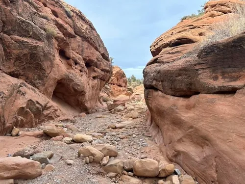 Best 10 Hiking Trails in Gunlock State Park | AllTrails