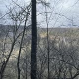 Cat Gap Loop Trail, North Carolina - 670 Reviews, Map | AllTrails