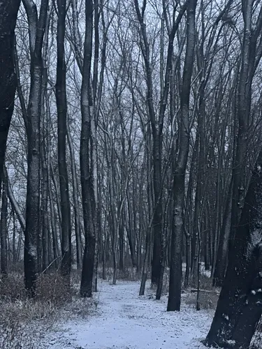 Best Hikes and Trails in Deborah Cooper Park | AllTrails