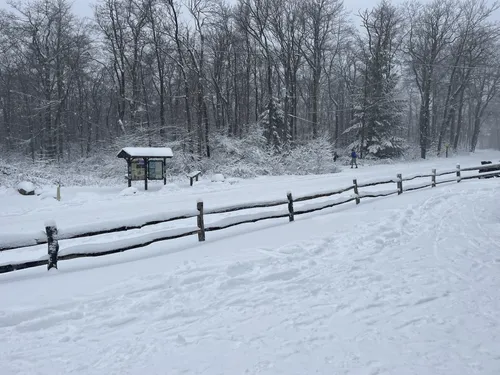 Best Walking Trails in Forbes State Forest | AllTrails