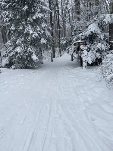 Best Walking Trails in Forbes State Forest | AllTrails