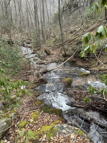 Best Trails near Flint Mountain | AllTrails