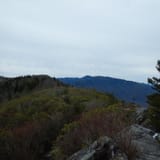 Mount Cammerer via Low Gap Trail, Tennessee - 1,936 Reviews, Map ...