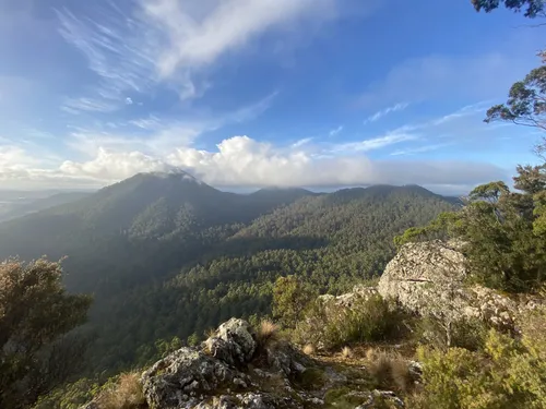 Best Hikes and Trails in Mount Dial Nature Recreation Area | AllTrails