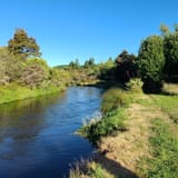 Waitahanui River Walk, Waikato, New Zealand - 13 Reviews, Map | AllTrails