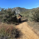 Stoddard Peak, California - 1,989 Reviews, Map | AllTrails