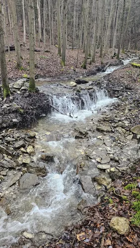 Best Hikes and Trails in Oxbow Falls Park | AllTrails