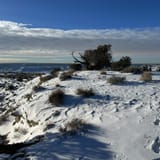 Jackson Lake Trail, New Mexico - 73 Reviews, Map | AllTrails