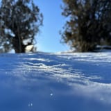 Jackson Lake Trail, New Mexico - 73 Reviews, Map | AllTrails