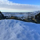 Jackson Lake Trail, New Mexico - 68 Reviews, Map | AllTrails