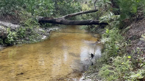 Best 10 Hiking Trails in Rye Preserve | AllTrails