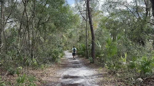 Best 10 Hiking Trails in Rye Preserve | AllTrails