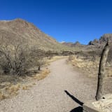 Soledad Canyon Loop, New Mexico - 1,176 Reviews, Map | AllTrails