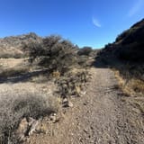 Soledad Canyon Loop, New Mexico - 1,176 Reviews, Map | AllTrails