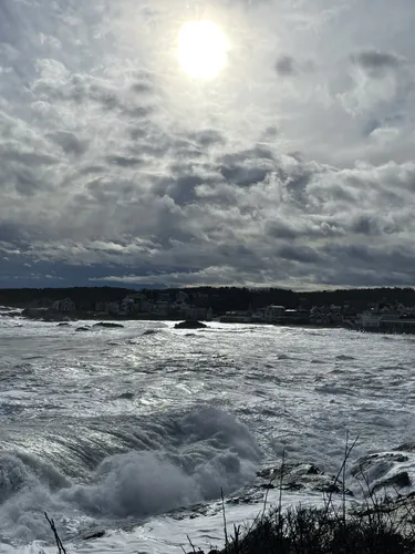 Best Hikes and Trails in Marginal Way Walkway | AllTrails