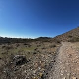 Pima East Loop, Arizona - 1,307 Reviews, Map | AllTrails