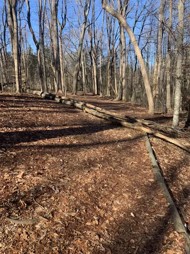 Best Hikes and Trails in Nevin Park | AllTrails