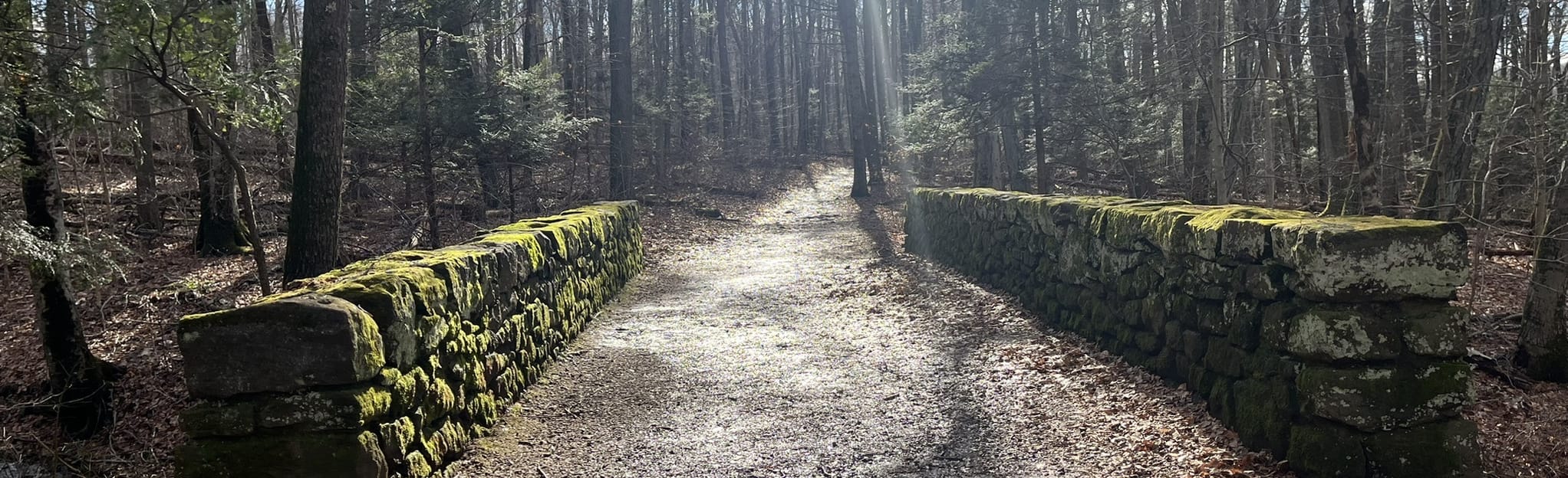 Wadsworth Falls Loop, Connecticut - 3,850 Reviews, Map | AllTrails