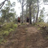 Green Gully Track: Full Loop, New South Wales, Australia - 19 Reviews ...