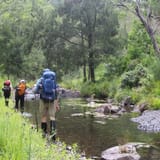 Green Gully Track: Full Loop, New South Wales, Australia - 19 Reviews ...