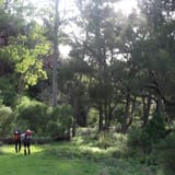Green Gully Track: Full Loop, New South Wales, Australia - 19 Reviews ...