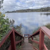 Lake Miramar Trail, California - 3,559 Reviews, Map | AllTrails