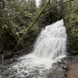 Dickerson Falls, Washington - 2,170 Reviews, Map | AllTrails