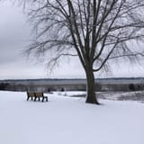 Korth Park Loop, Wisconsin - 63 Reviews, Map | AllTrails